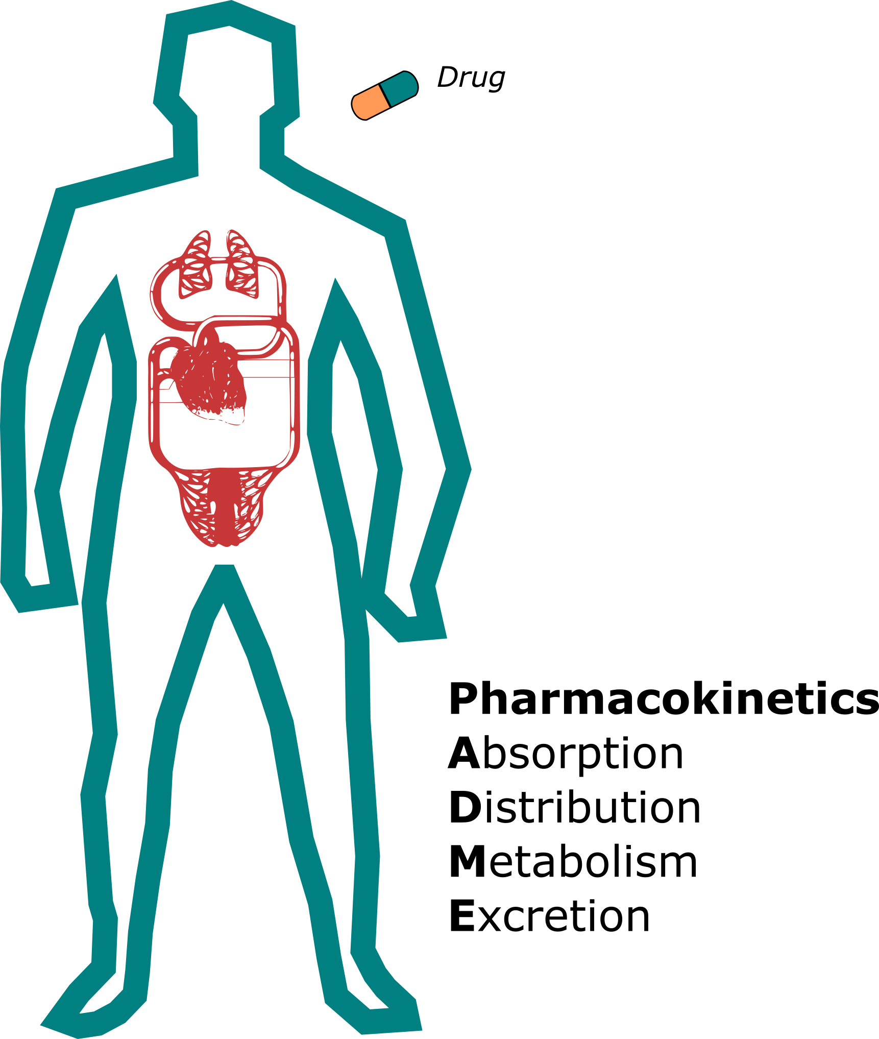 EpiQMAx - Biologics Service